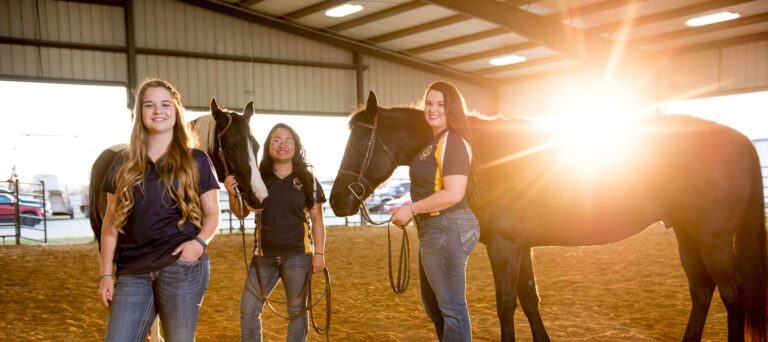 Equine Studies (BS) | East Texas A&M University, ETAMU