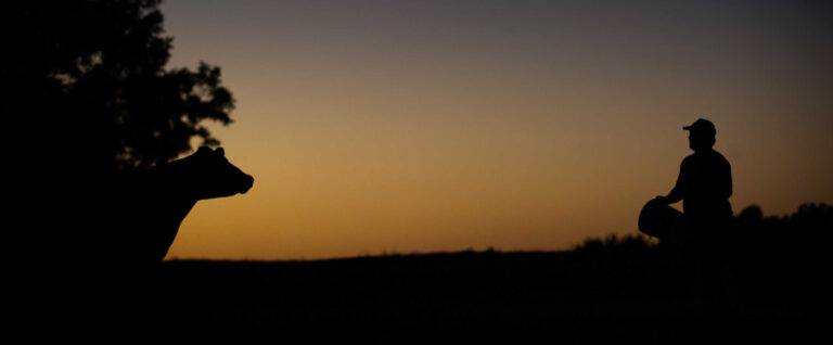 Animal Science (BS) | East Texas A&M University, ETAMU