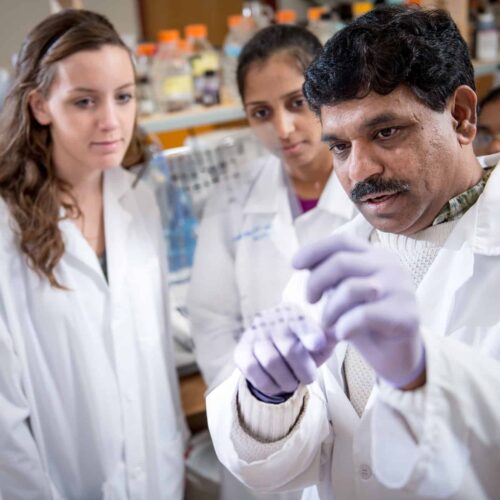College of Science and Engineering | East Texas A&M University, ETAMU