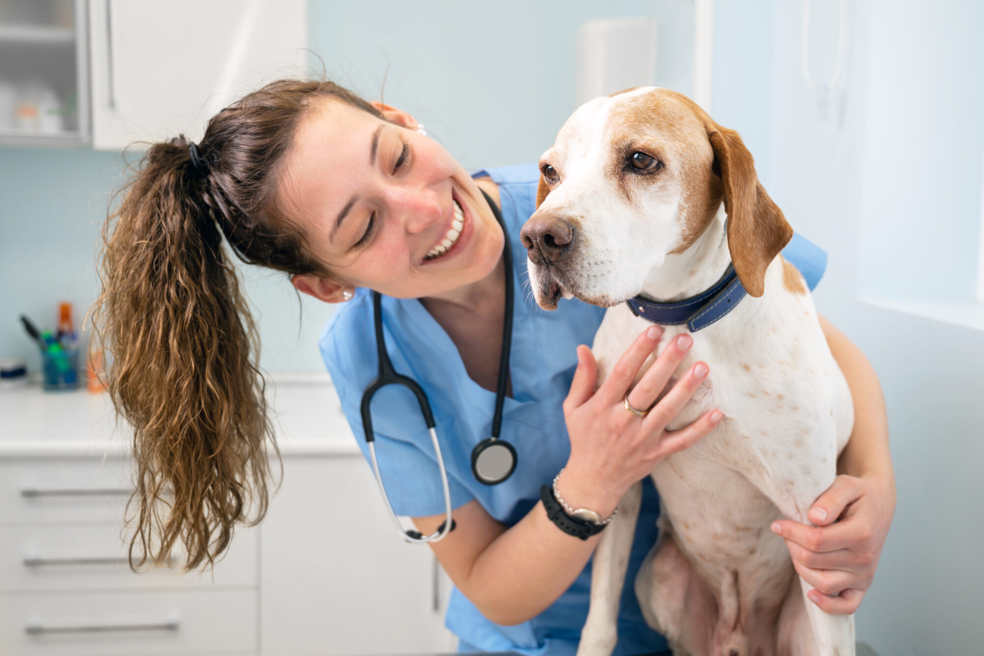 Veterinary Biomedical Technology (BS) | East Texas A&M University, ETAMU