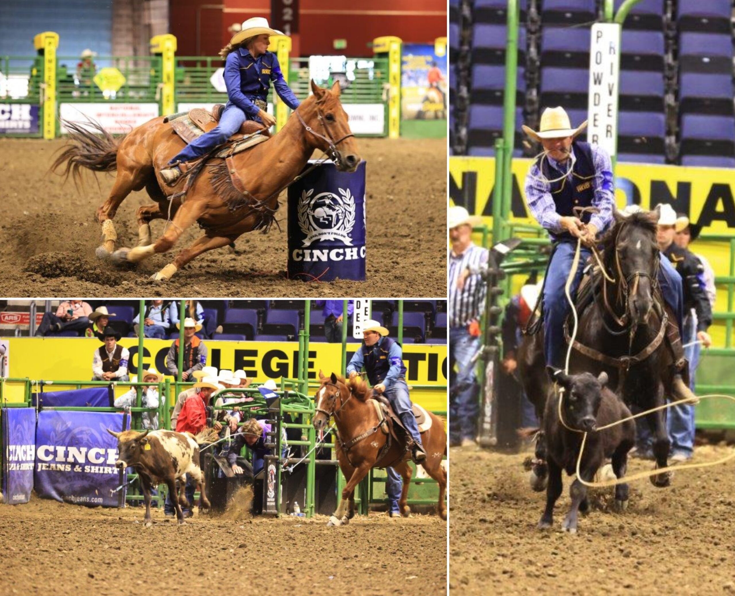 TAMUC Rodeo Team Members Shine at College Finals | East Texas A&M ...