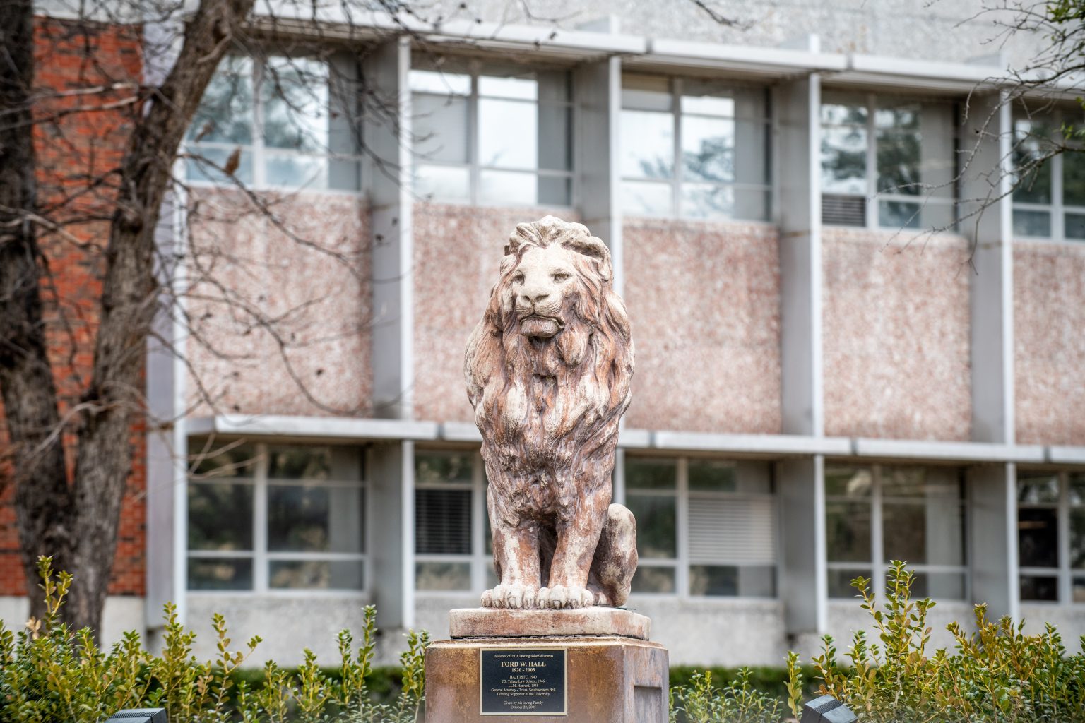 About Waters Library | East Texas A&M University, ETAMU