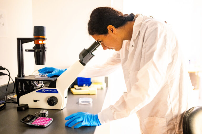 East Texas A&M Launches New Biochemistry Degree Program | East Texas A ...